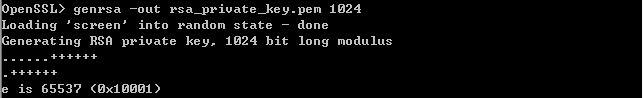 生成RSA公私钥_begin rsa private key-CSDN博客